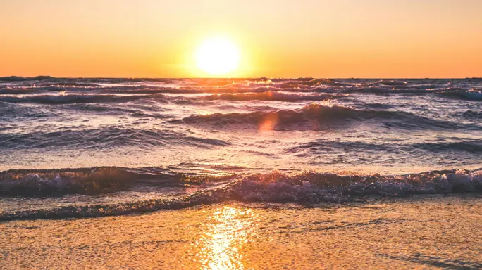 New study finds False Bay contaminated with mix of pollutants