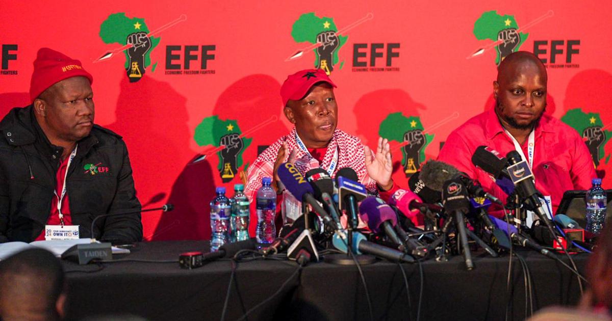 Malema rubbishes claims that EFF’s open border policy cost them votes