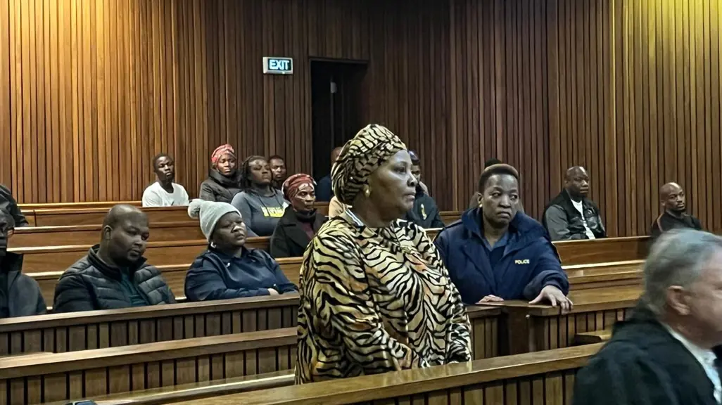 Mapisa-Nqakula seeks state witnesses' bank records in corruption case