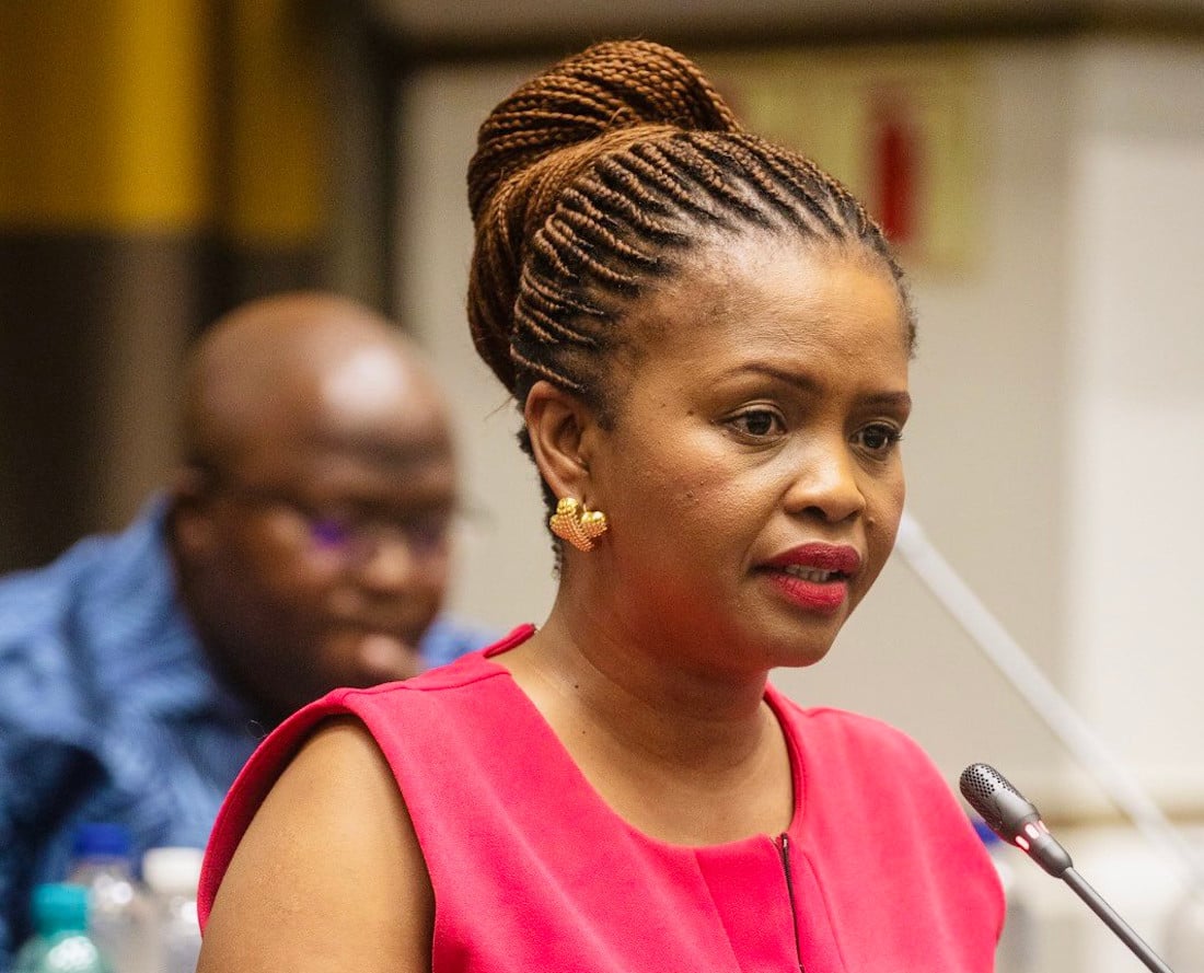 Diko, Malatsi lock horns over plans to exempt depts from using SITA