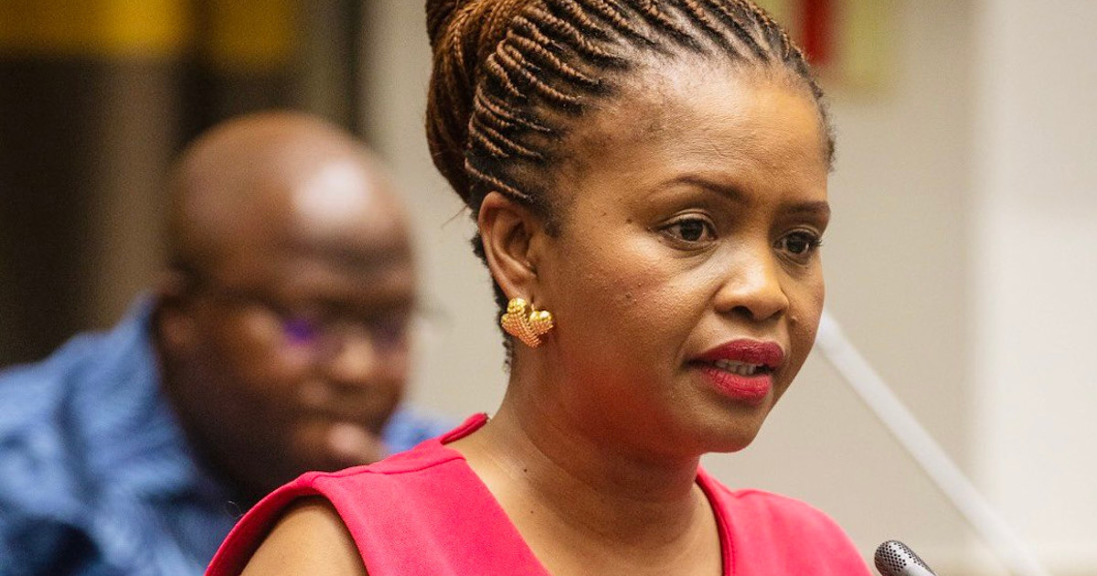 Diko, Malatsi lock horns over plans to exempt depts from using SITA