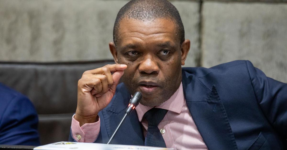 Zibi hits back at Musk's renewed criticisms of SA telecommunications laws