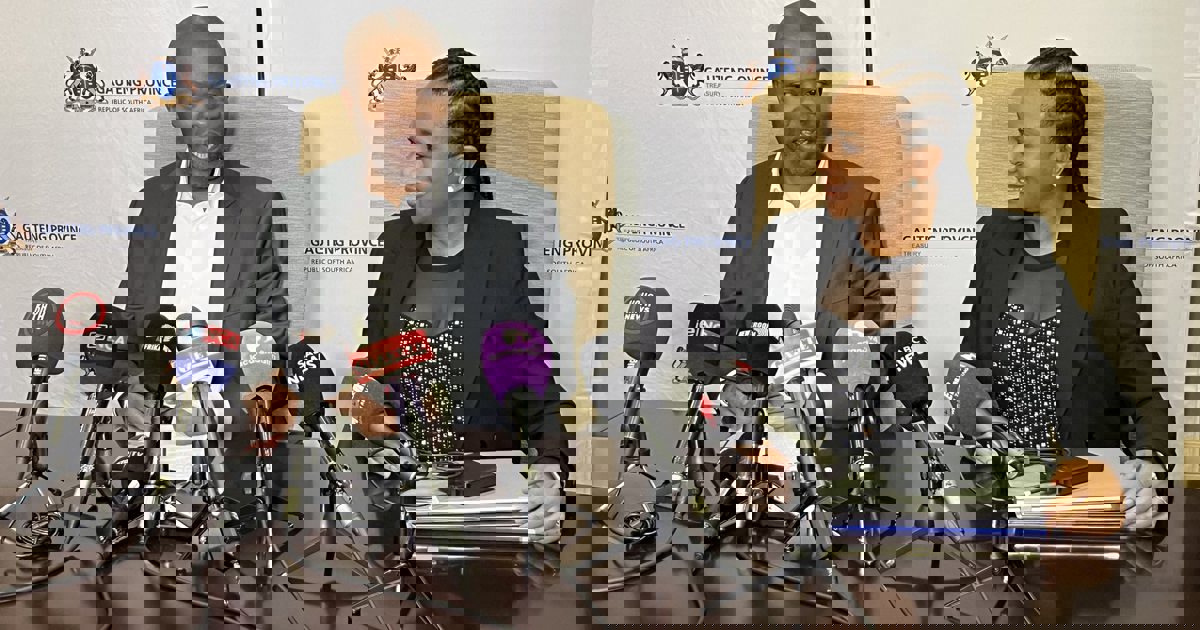 Gauteng govt not giving up on ambition to establish state-owned bank & pharmaceutical company