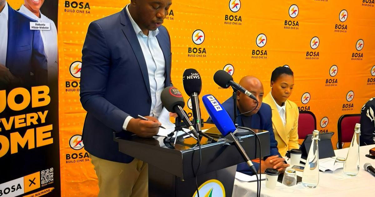 BOSA rules out joining GNU if EFF, MK Party form part of coalition