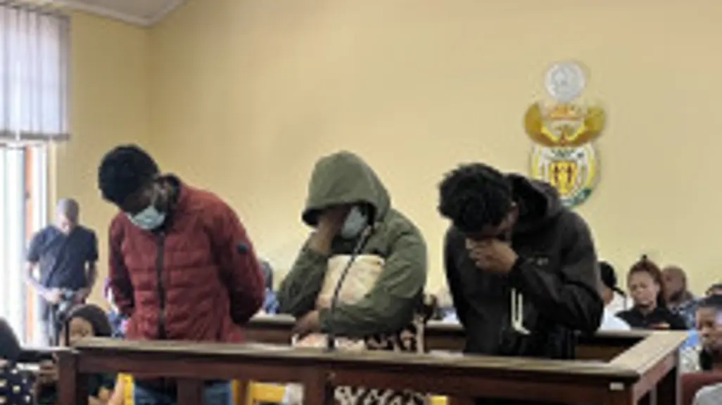 Phala Phala burglary trial set to resume with new interpreter