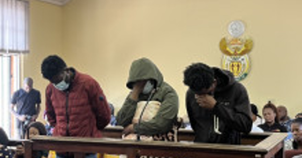 Phala Phala burglary trial set to resume with new interpreter
