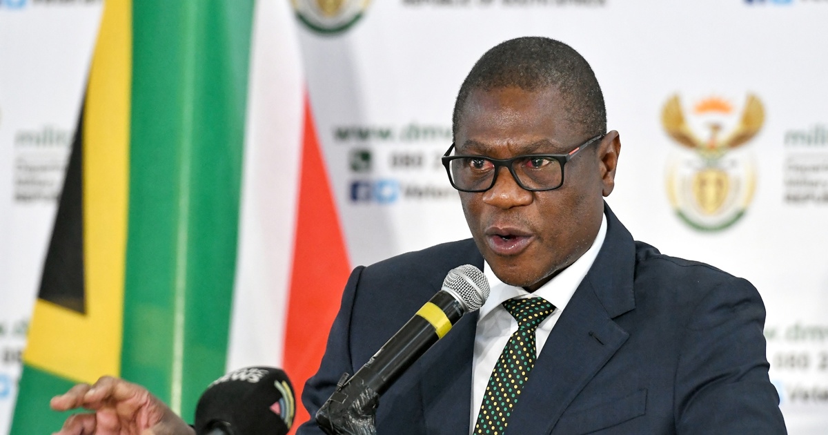 Only one party in GNU signed agreement to exclude 2 clauses in BELA Act - Mashatile