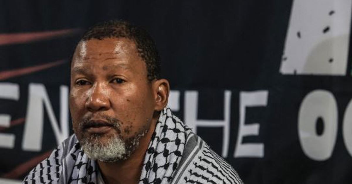 Mandla Mandela recounts his Global Sumud Flotilla experience: 'We will ...