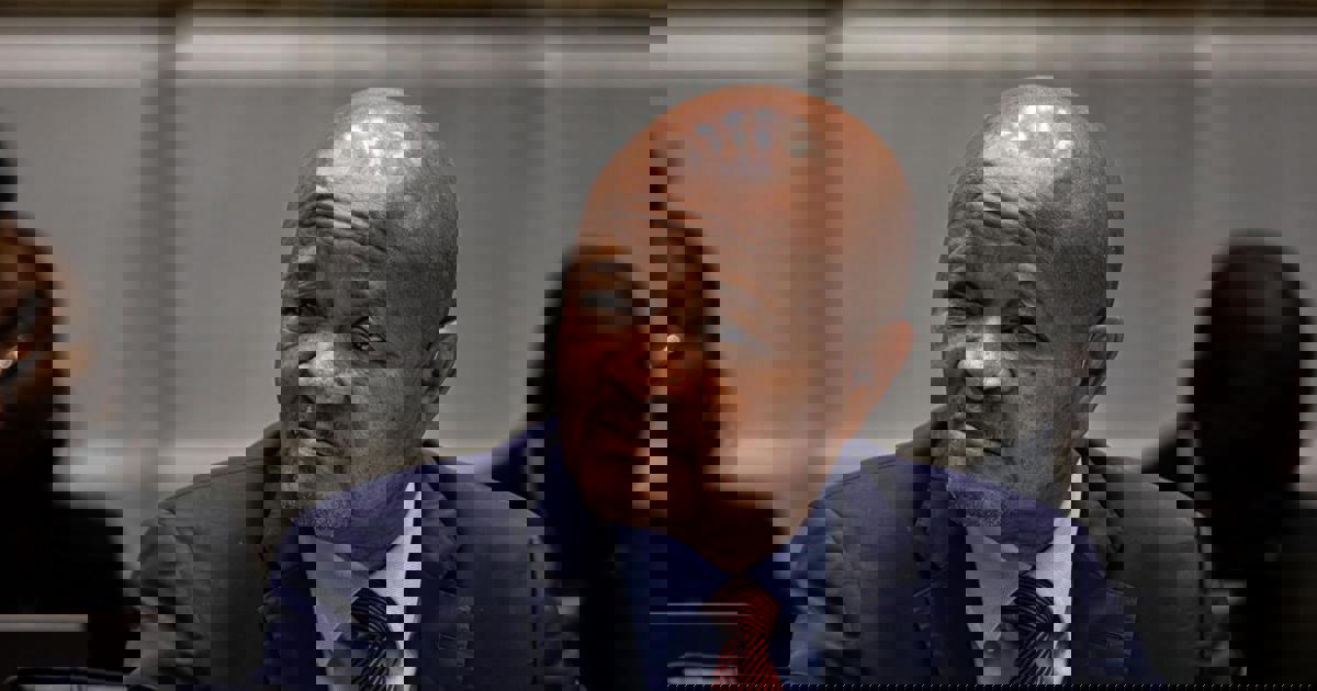 Mchunu to face questions from MPs as he returns to Parly ad hoc ...