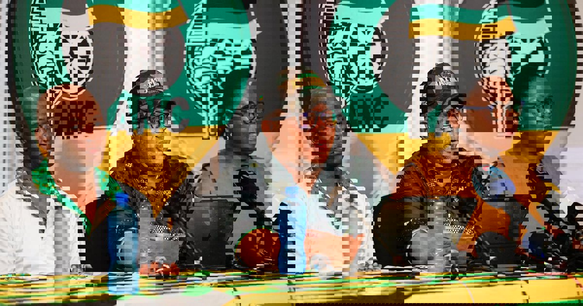 ANC expects budget to remain unchanged, except for VAT proposal