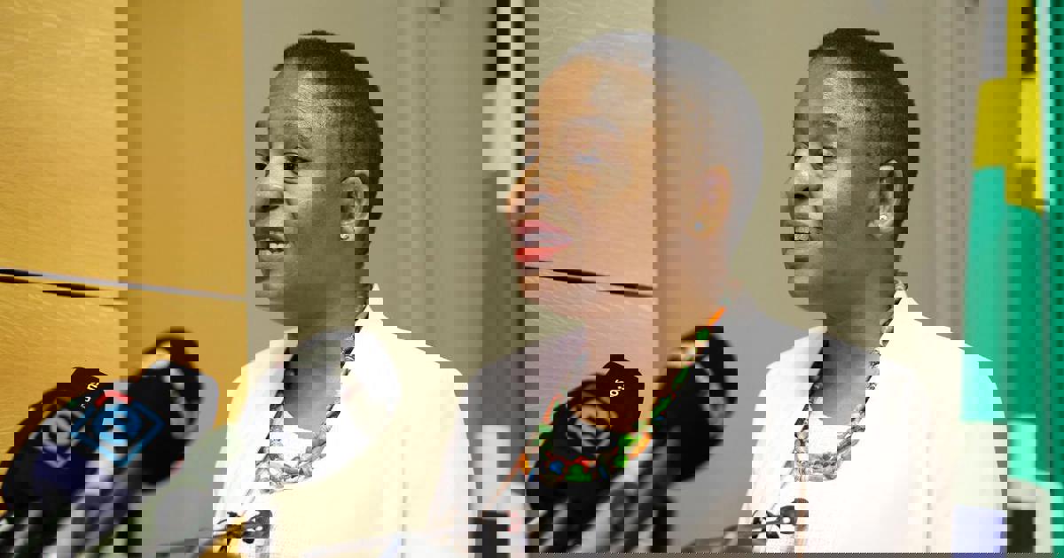 SA govt says all systems go leading up to G20 Leaders' Summit