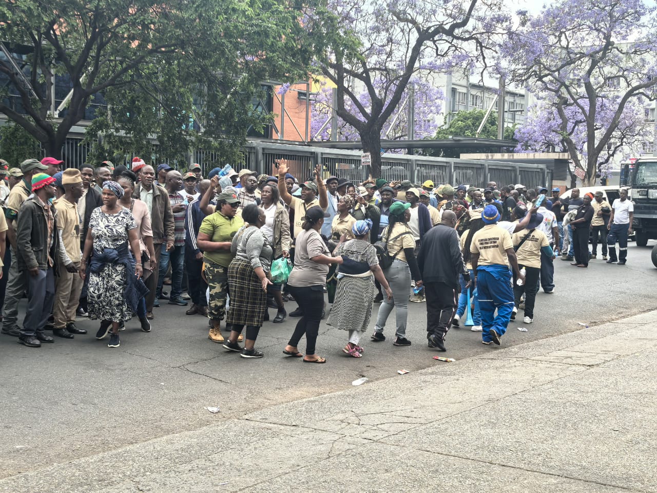 Soil of Africa hits out at Home Affairs, says people whose IDs have ...