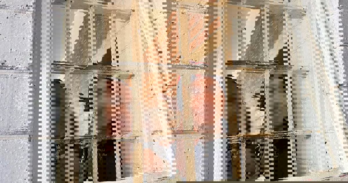 MPs raise concerns over Pollsmoor Prison's bathrooms, kitchen equipment