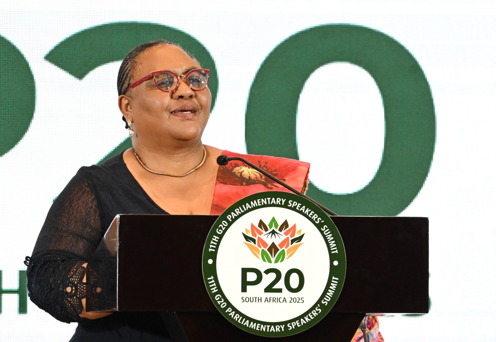 Didiza adamant P20 Summit will be held in US in 2026