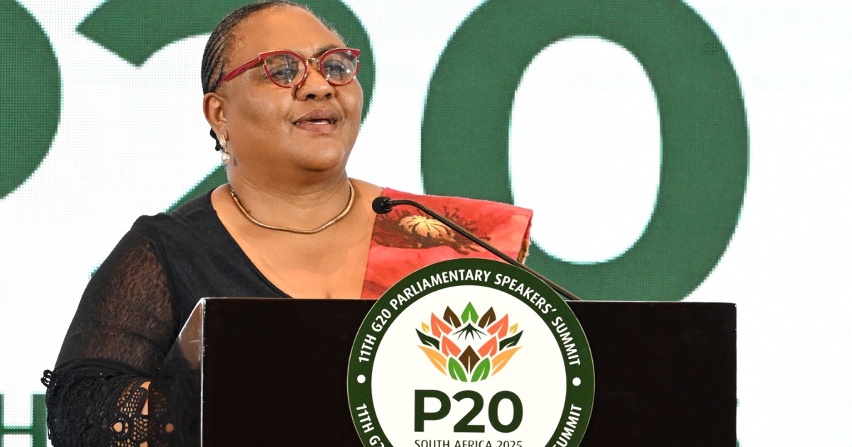 Didiza adamant P20 Summit will be held in US in 2026