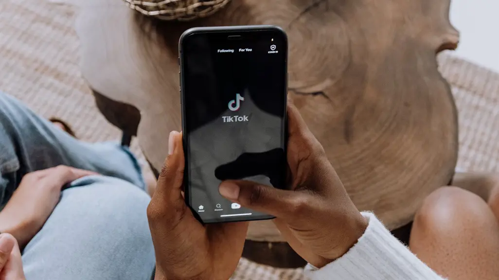 TikTok breach affecting 2.4bn users sparks fresh concerns over children ...