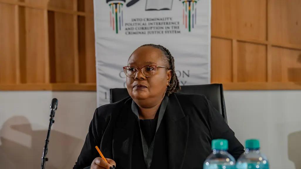 KZN NPA head tells Madlanga Commission she would have 'strongly ...