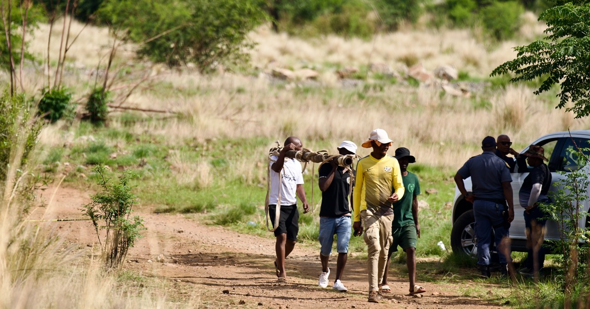 'They're dying of hunger, others sick': Stilfontein locals want ...