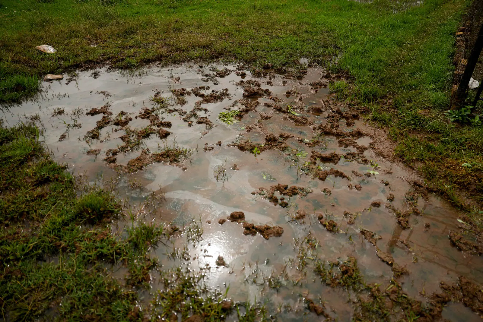 Emfuleni businesses fold under poor service delivery, residents brave ...