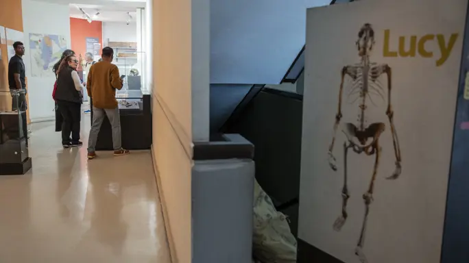 Human ancestor Lucy still has secrets 50 years after discovery