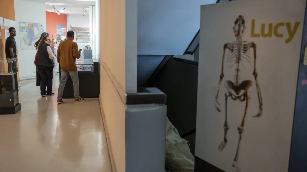 Human ancestor Lucy still has secrets 50 years after discovery