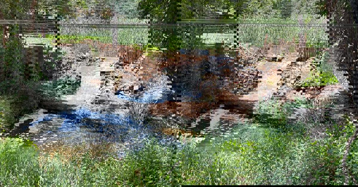 Fears that Cradle of Humankind may lose World Heritage Site status due ...