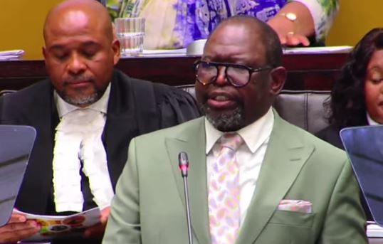 Godongwana announces lowered inflation target: 'It will benefit all ...