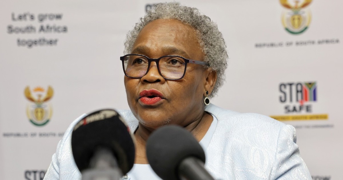 SRD grant measures taken by DSD placed to make it accessible: Tolashe