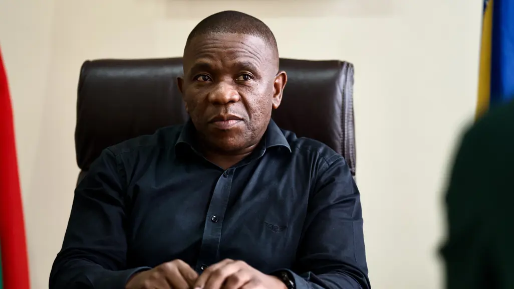 Parly releases names of members who will serve on committee probing Mkhwanazi allegations