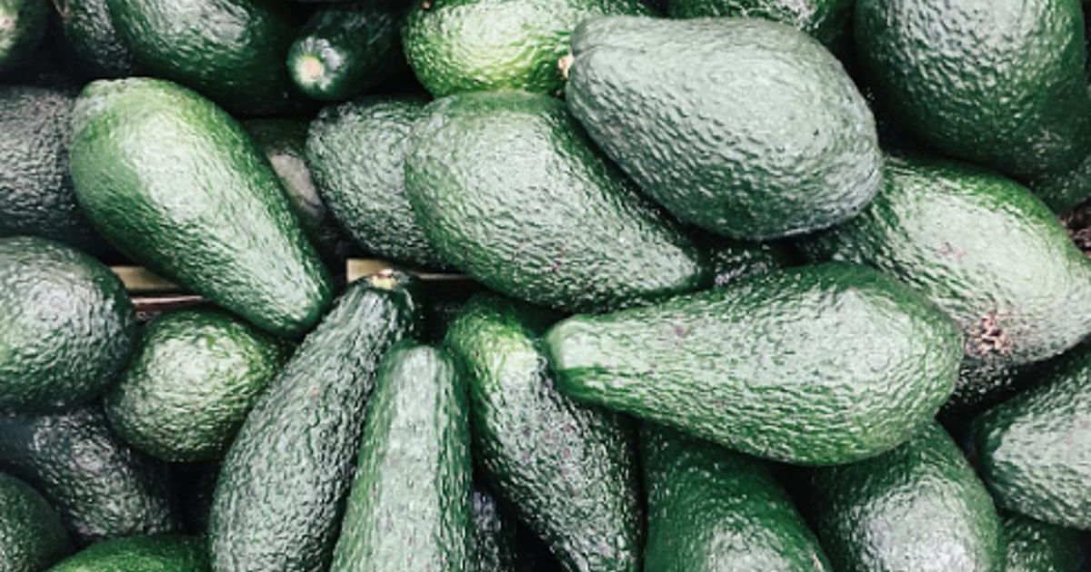 South Africa sends first shipment of avocados to China
