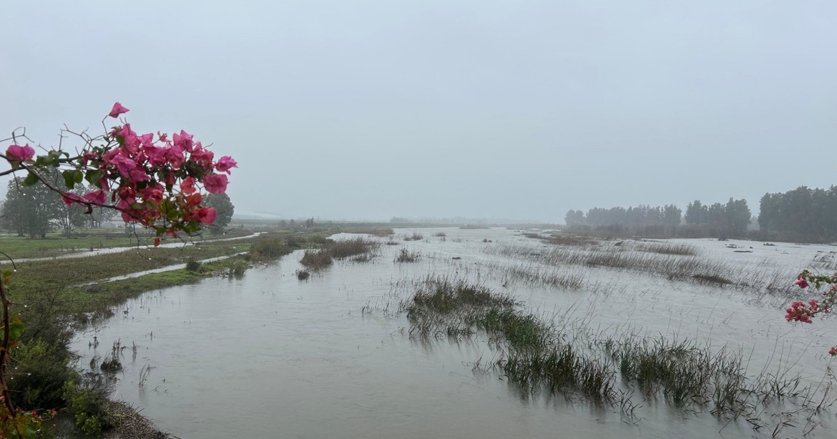 As heavy rain pummels WC, 24 people evacuated from their homes in Citrusdal