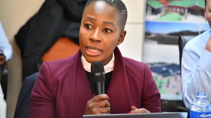 IDT has eyes on Collen Mashawana Foundation's withdrawal from EPWP