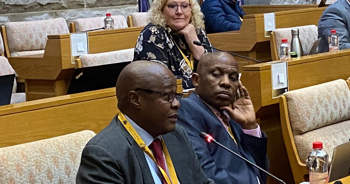 MK's Molefe challenges claim that state capture played role in Transnet ...