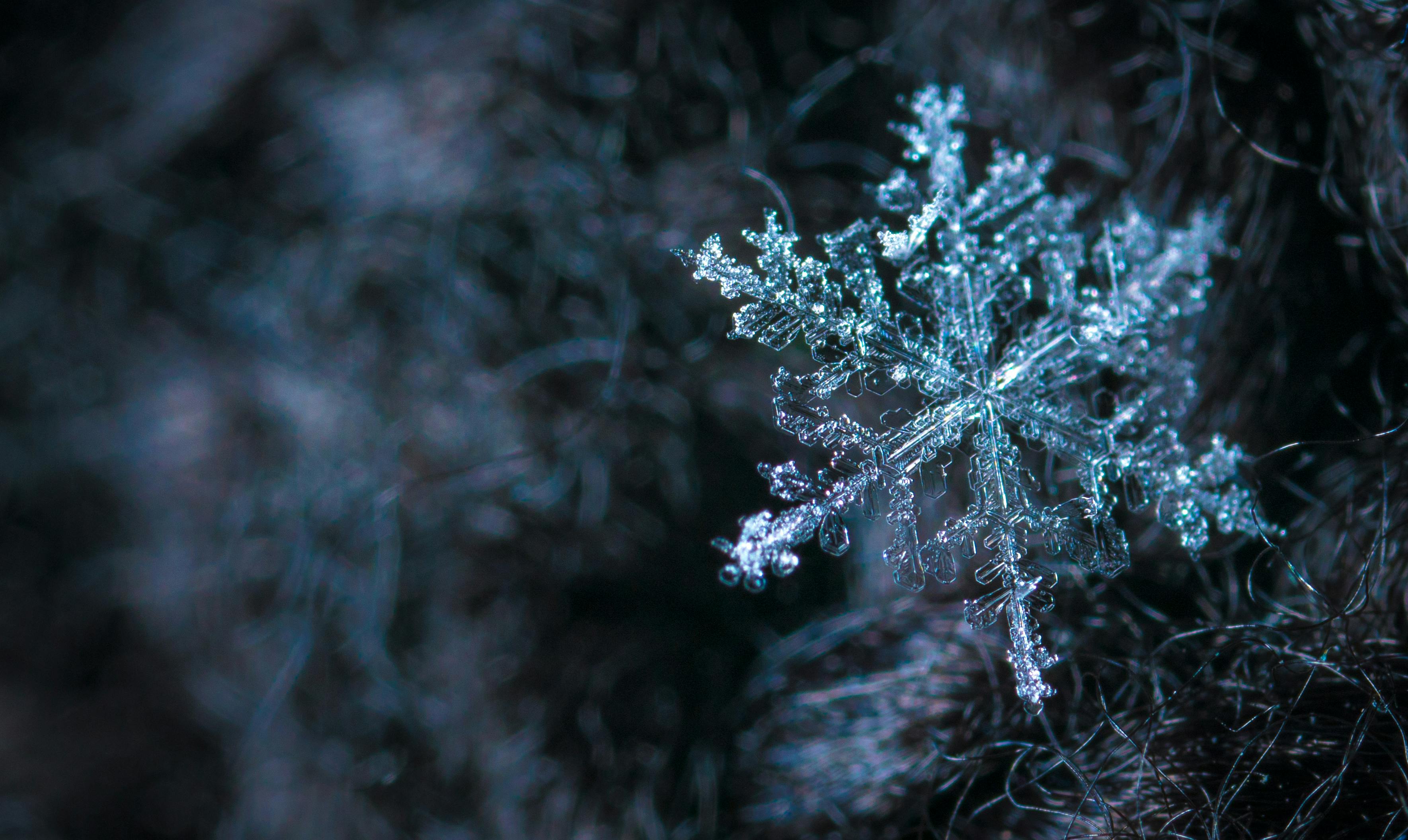 Cold front brings snow, freezing temperatures & dangerous conditions to ...