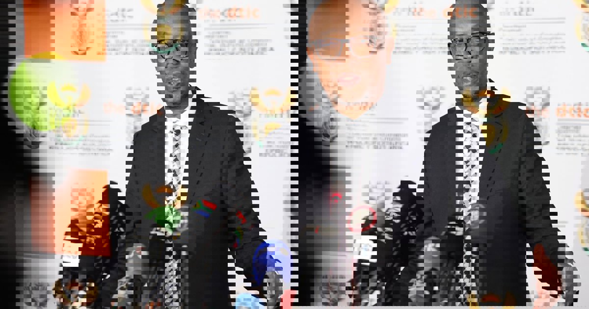 Tau says SA's relationship with China not a quick fix to looming US tariffs