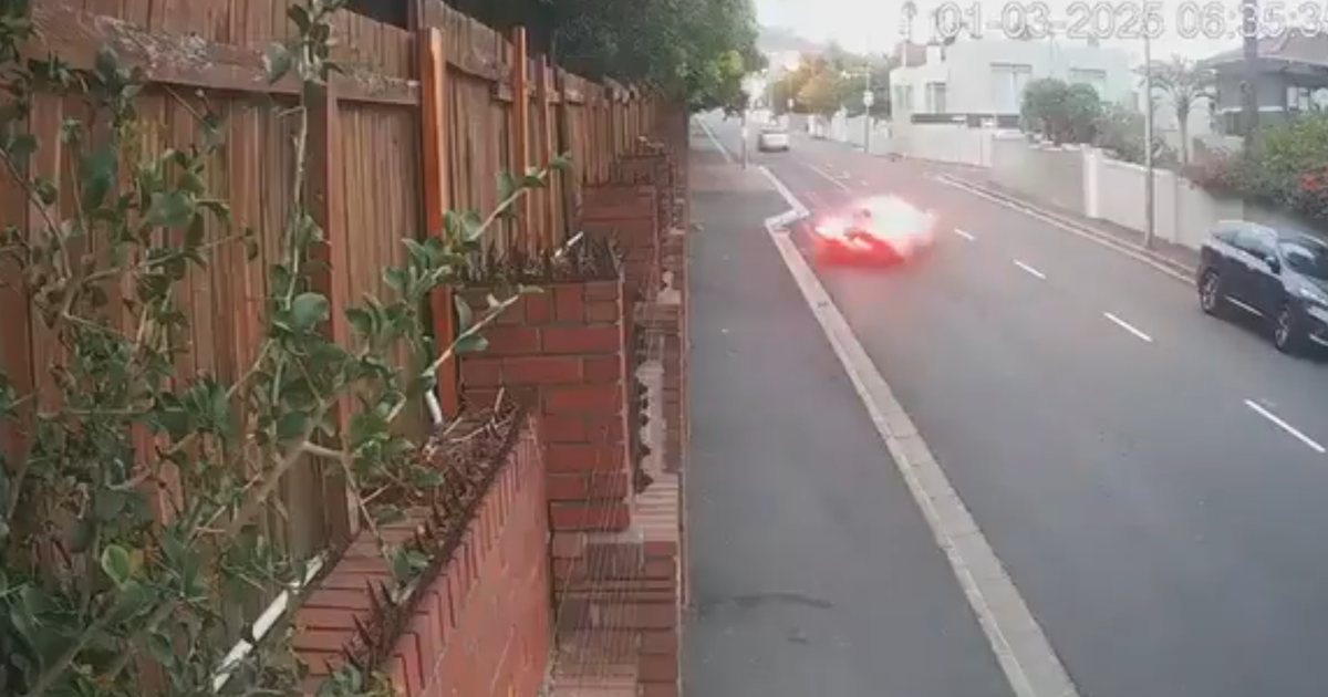 DA NCOP member welcomes reports NPA to charge Nigerian rapper for ...