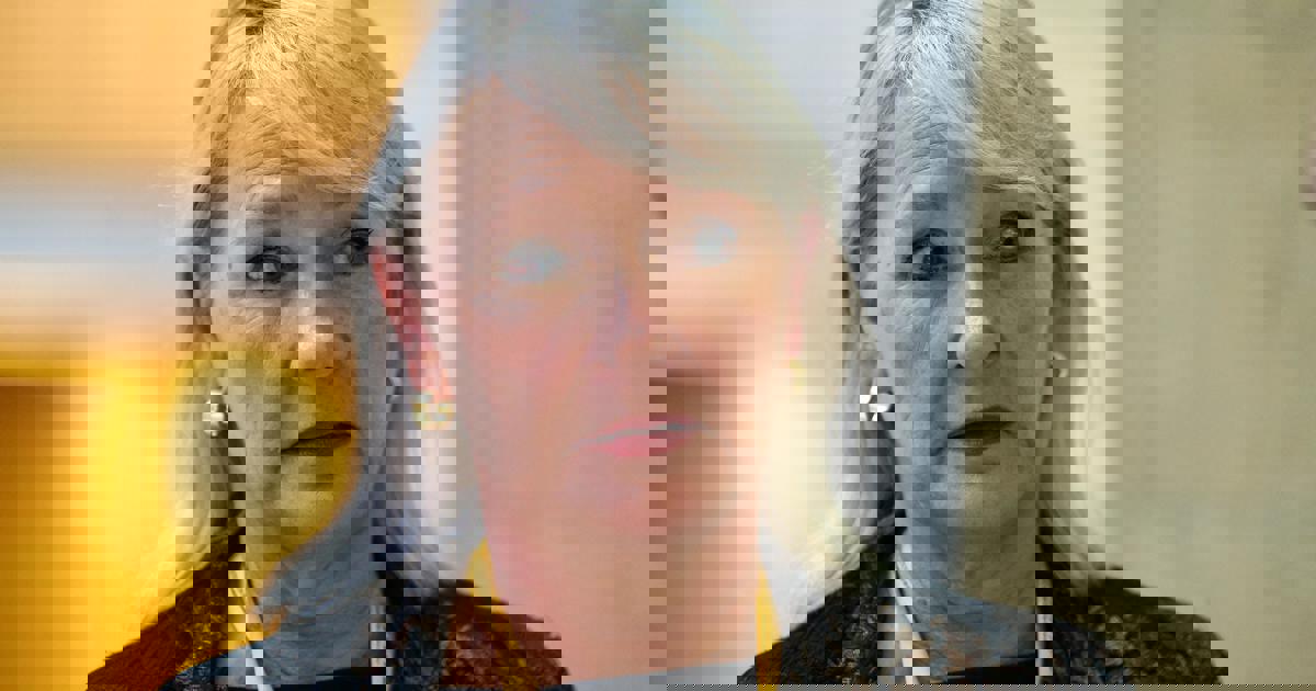 Deputy Speaker of the National Assembly is DA's Annelie Lotriet