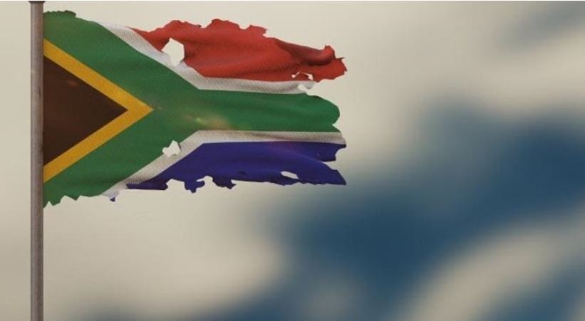 Primedia Plus