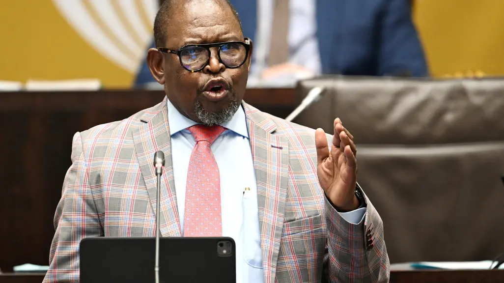 Finance Minister says SA is still fixing the fiscal damage done under ...