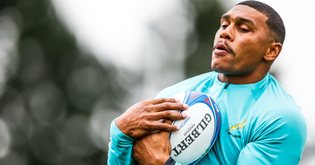 Injured Springbok Willemse to miss November Tests