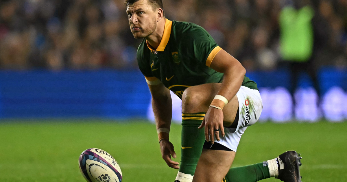 South Africa vs Australia in Cape Town: 'Boklash is coming!' - Tim ...