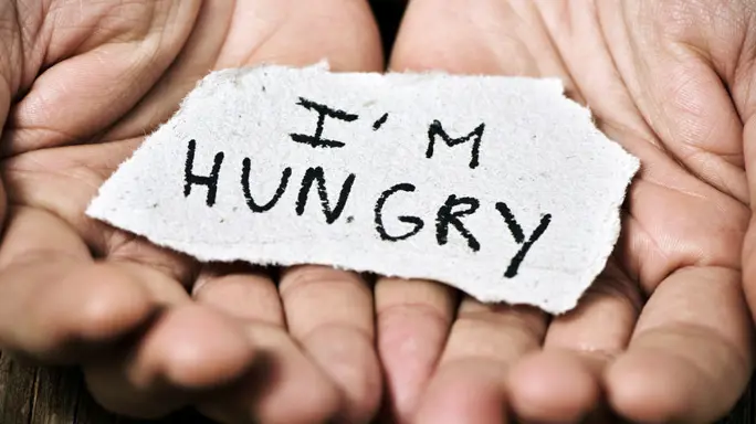 Stellies faces hunger crisis: ‘Students go to bed hungry’