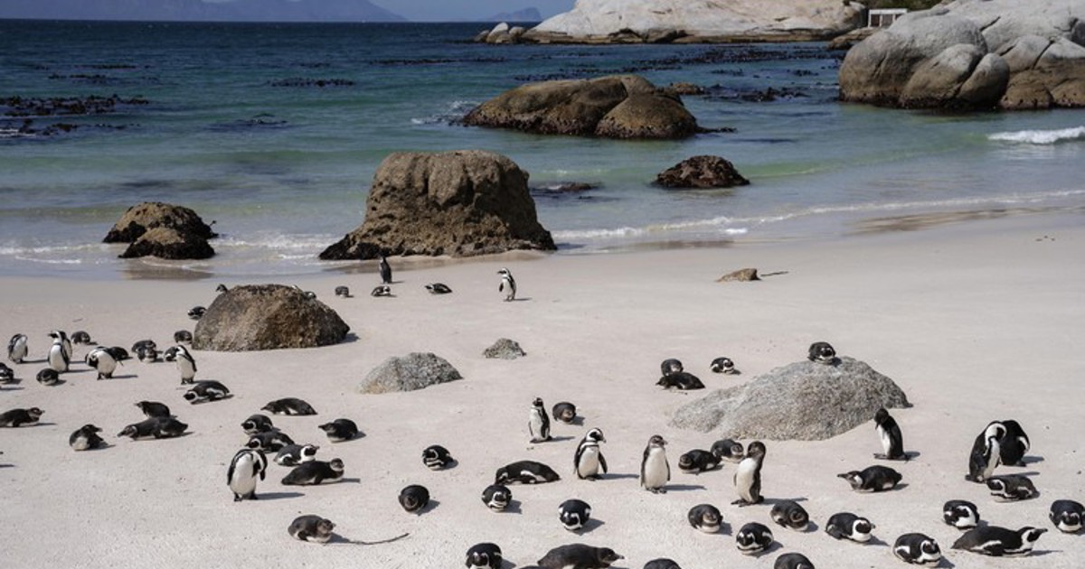 Boulders traffic nightmare for locals and tourists - what's the solution?