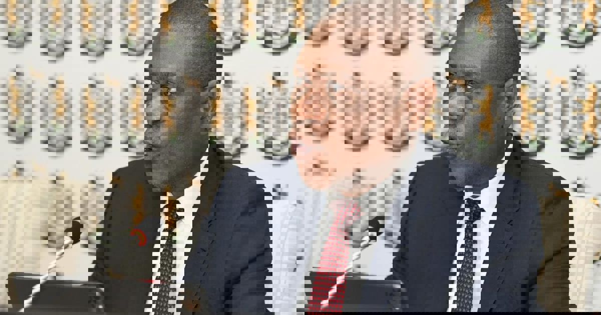 Probe into alleged assassination attempt on Mashatile finalised, Cachalia tells MPs