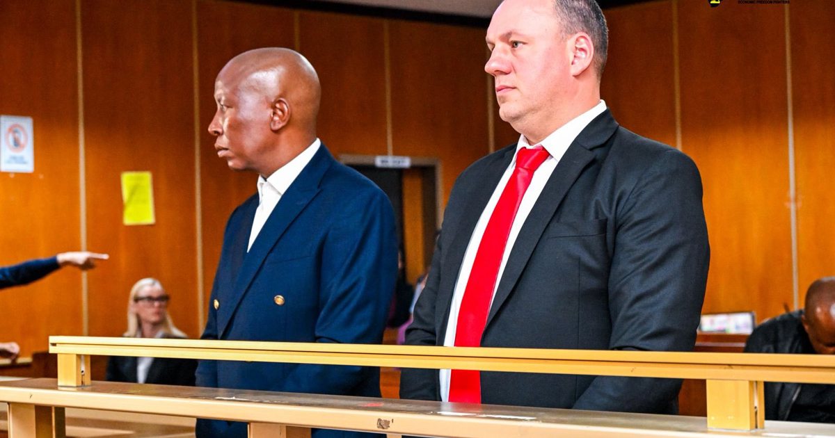 Defence lawyer in Malema firearm discharge case suggests video may have ...