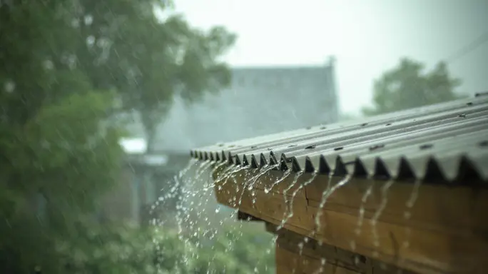 More rain expected on Christmas Day, going into New Year: SA Weather ...
