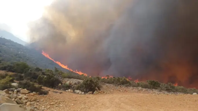 R62 closed, properties at risk as wildfire rages in Montagu