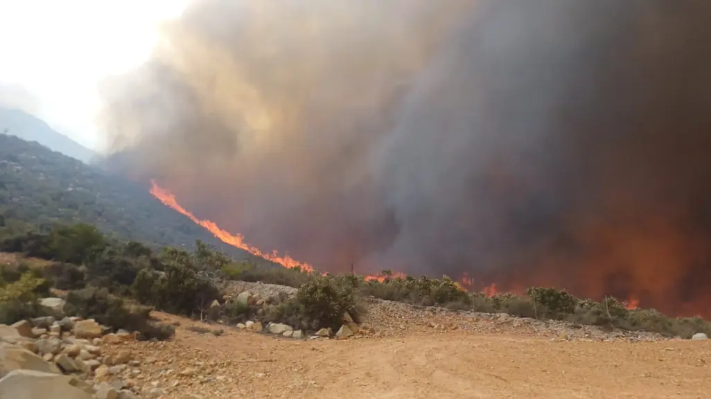 R62 closed, properties at risk as wildfire rages in Montagu