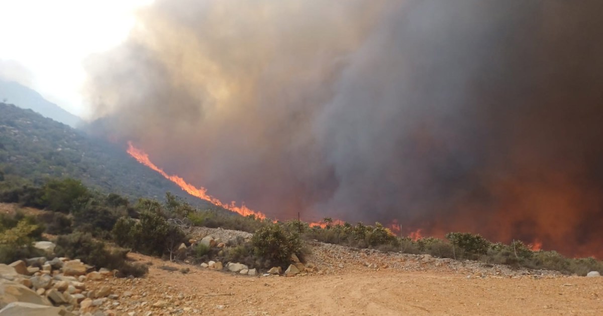 R62 closed, properties at risk as wildfire rages in Montagu