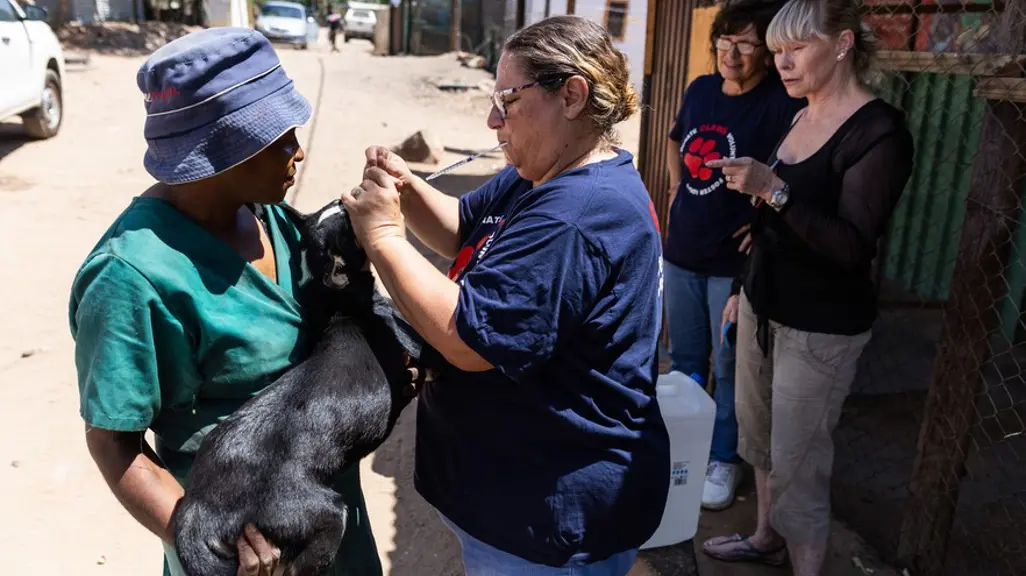 Volunteers raise alarm over animal abuse in Clanwilliam